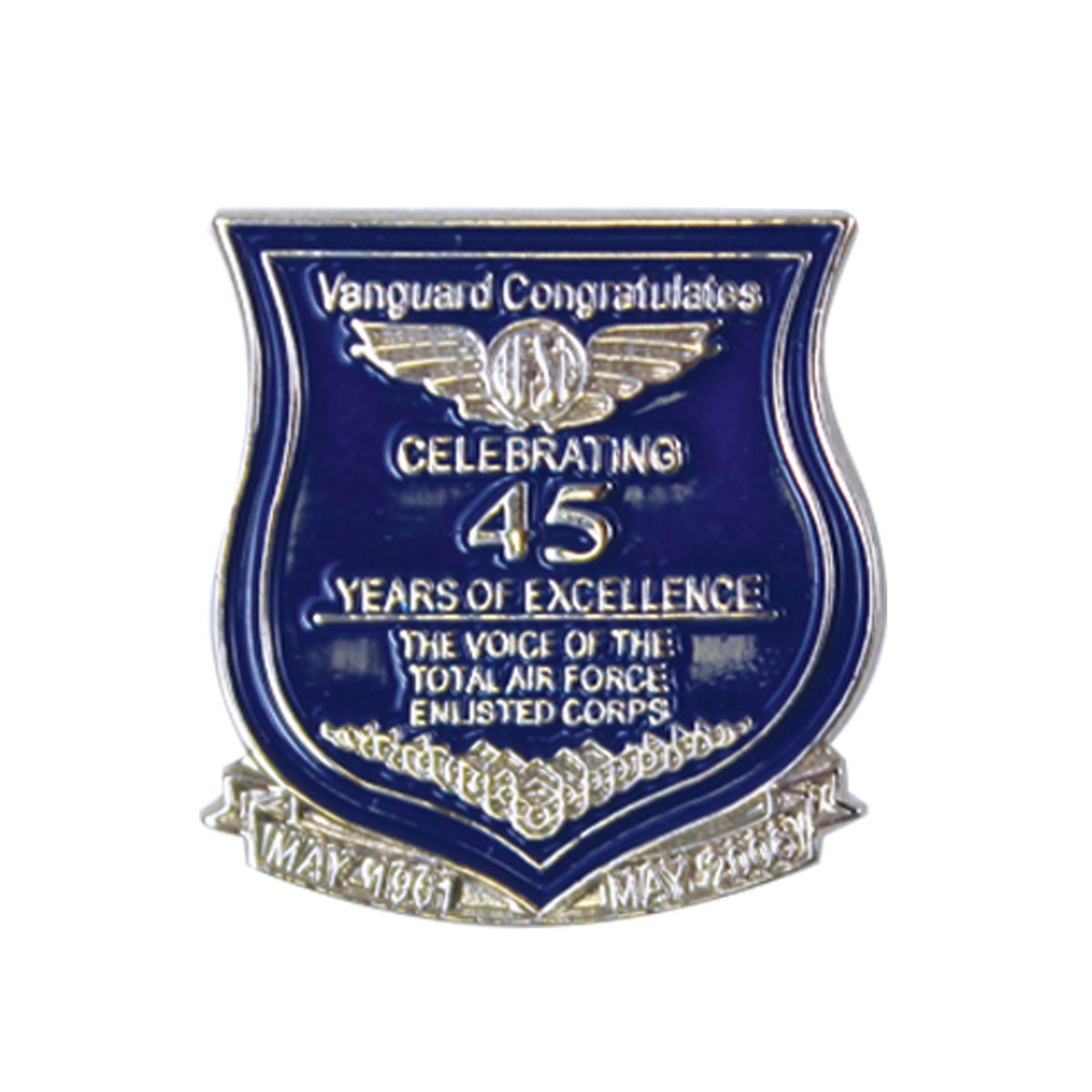 USAF Enlisted 45th - Vanguard Emblematics